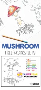 Mushroom Life Cycle Worksheets - Superstar Worksheets