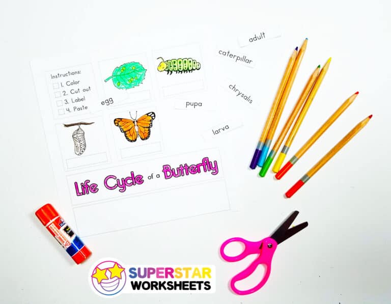 Butterfly Worksheets - Superstar Worksheets
