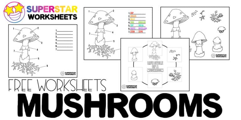 Mushroom Life Cycle Worksheets - Superstar Worksheets
