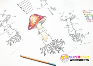 Mushroom Life Cycle Worksheets - Superstar Worksheets