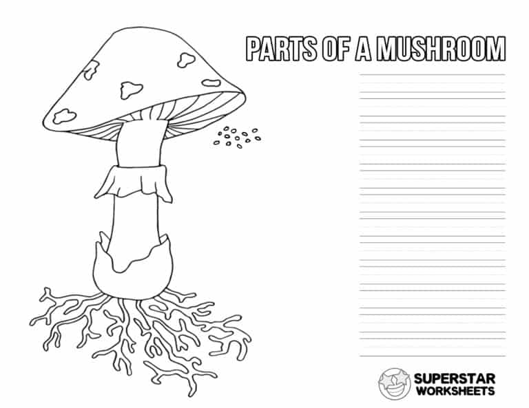 Mushroom Life Cycle Worksheets - Superstar Worksheets