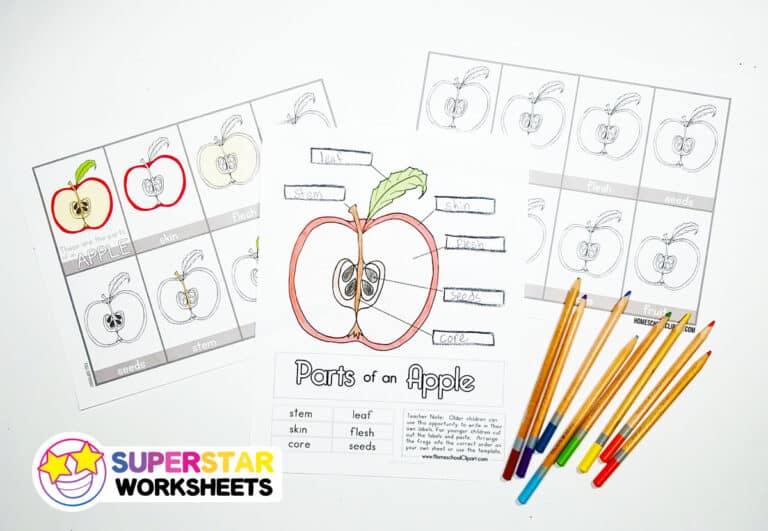 Apple Worksheets - Superstar Worksheets