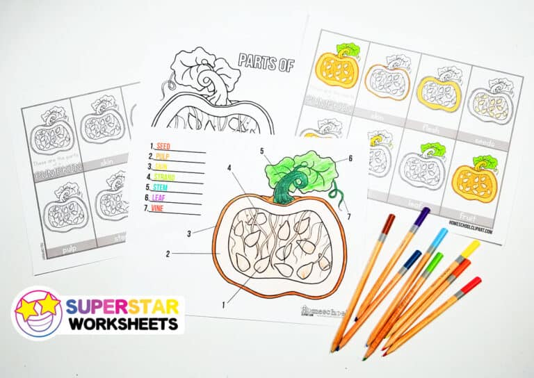Pumpkin Worksheet - Superstar Worksheets