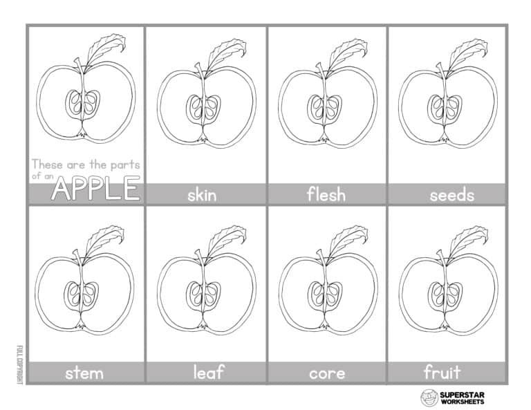 Apple Worksheets - Superstar Worksheets