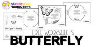 Butterfly Worksheets - Superstar Worksheets