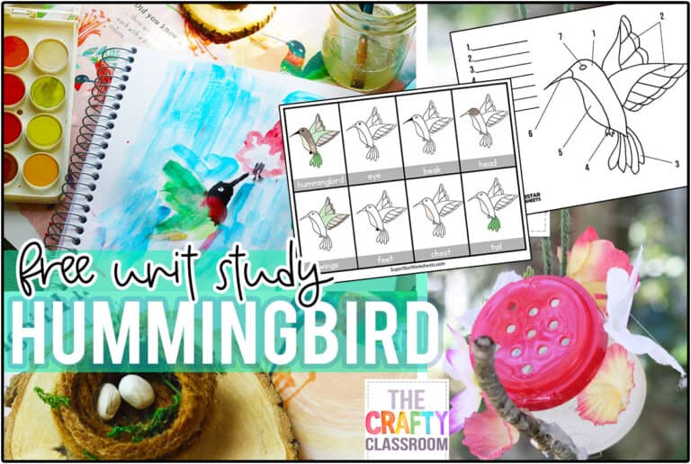 Hummingbird Worksheets - Superstar Worksheets