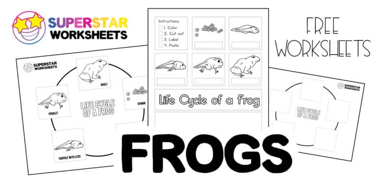 Life Cycle of a Frog Worksheets - Superstar Worksheets