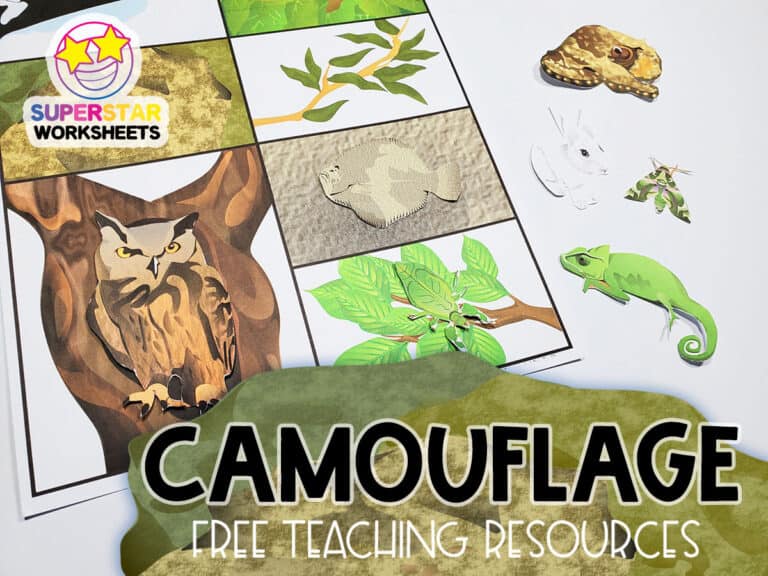 Animal Camouflage Worksheets - Superstar Worksheets