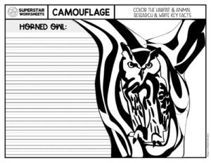 Animal Camouflage Worksheets - Superstar Worksheets