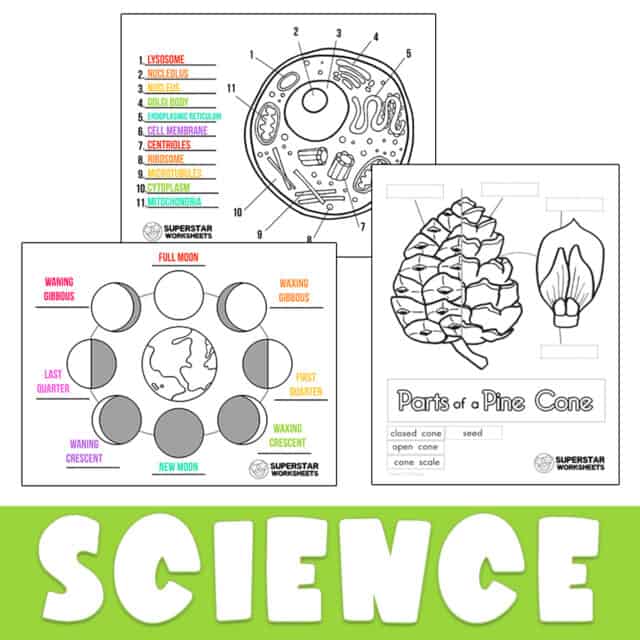 Superstar Worksheets - Superstar Worksheets