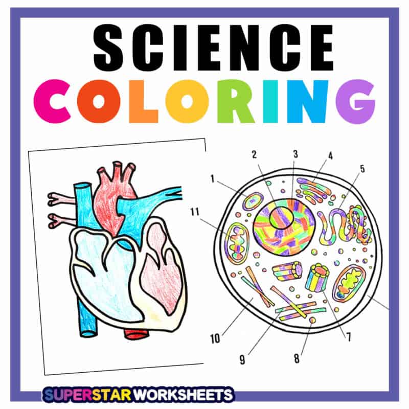 Coloring Pages - Superstar Worksheets