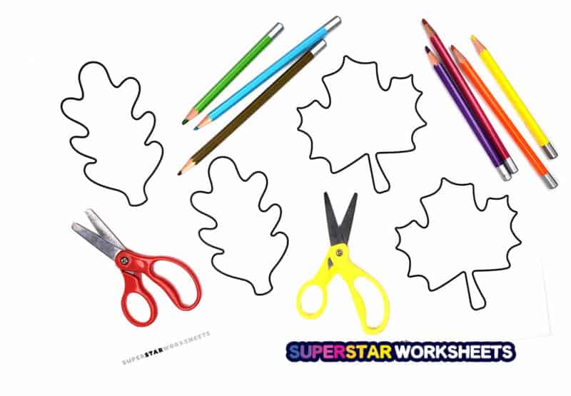 Leaf Template (Free Printables) - Superstar Worksheets
