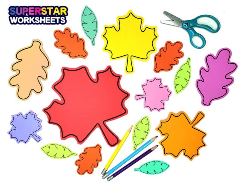 Leaf Template (Free Printables) - Superstar Worksheets