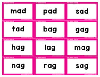 CVC Word BINGO - Superstar Worksheets