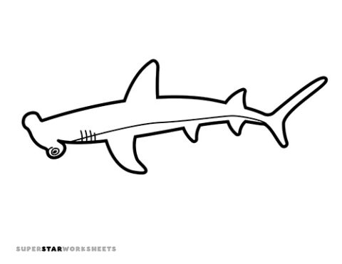 Shark Template - Superstar Worksheets