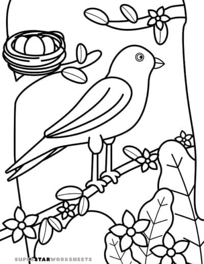 Bird Template (Free Printables) - Superstar Worksheets