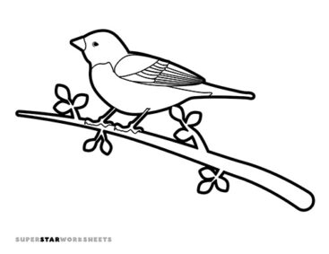 Bird Template (Free Printables) - Superstar Worksheets