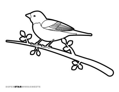 Bird Template (Free Printables) - Superstar Worksheets