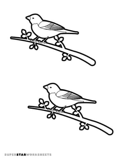 Bird Template (Free Printables) - Superstar Worksheets