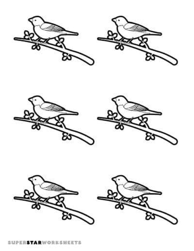 Bird Template (Free Printables) - Superstar Worksheets