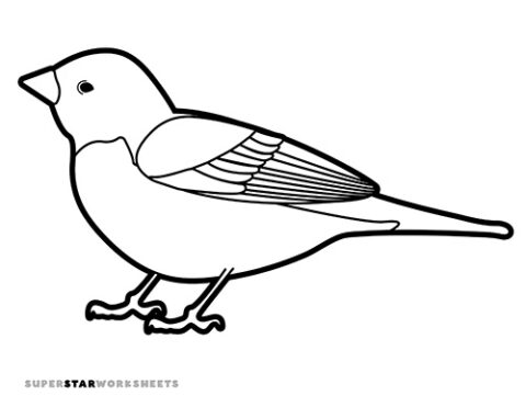 Bird Template (Free Printables) - Superstar Worksheets