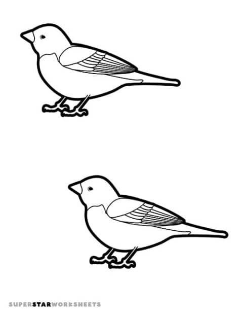 Bird Template (Free Printables) - Superstar Worksheets