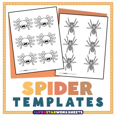 Spider Template (Free Printables) - Superstar Worksheets