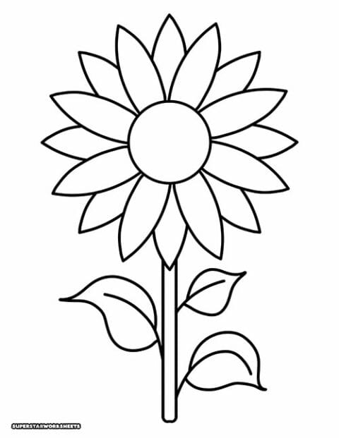 Sunflower Coloring Pages (Free Printables) - Superstar Worksheets