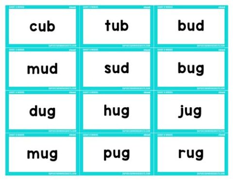 Short U Words - Superstar Worksheets