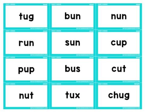 Short U Words - Superstar Worksheets