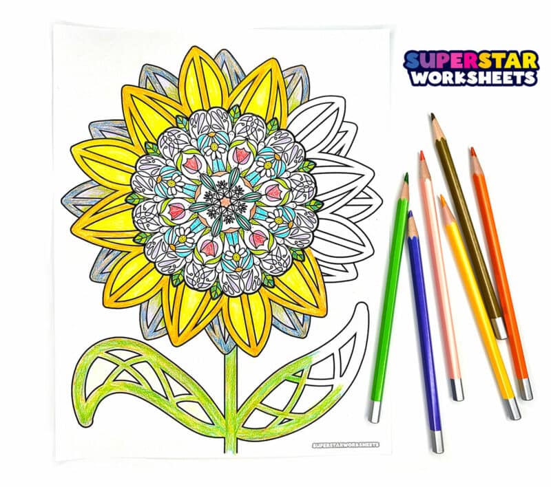 Sunflower Coloring Pages (Free Printables) - Superstar Worksheets