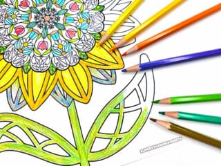 Sunflower Coloring Pages (Free Printables) - Superstar Worksheets