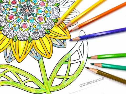 Sunflower Coloring Pages (Free Printables) - Superstar Worksheets