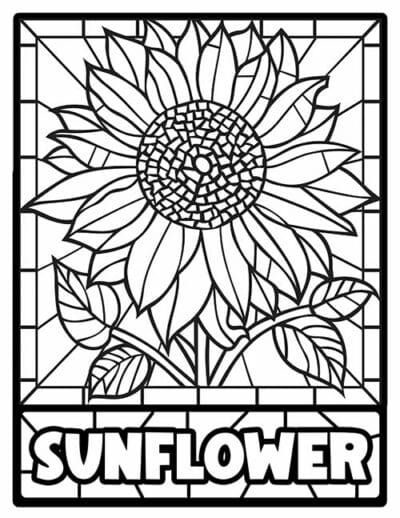 Sunflower Coloring Pages (Free Printables) - Superstar Worksheets