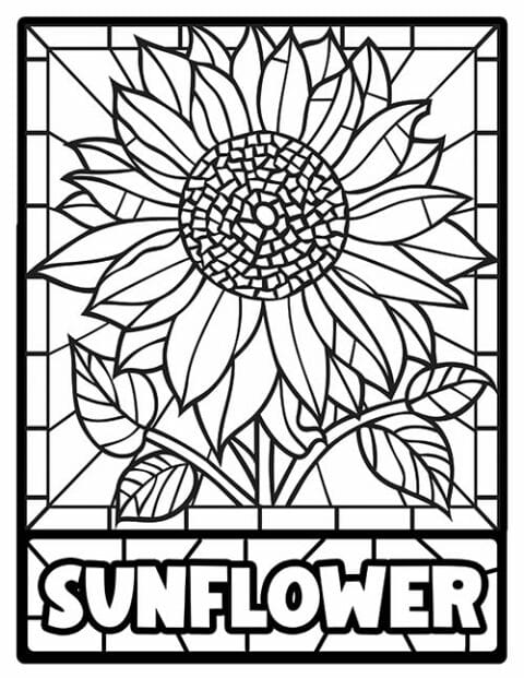 Sunflower Coloring Pages (Free Printables) - Superstar Worksheets