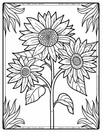 Sunflower Coloring Pages (Free Printables) - Superstar Worksheets