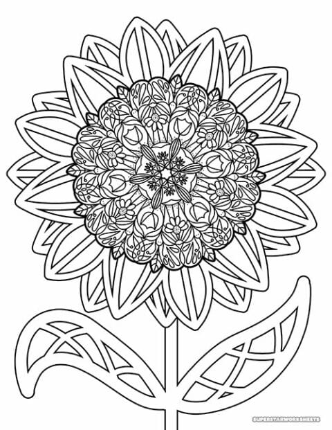 Sunflower Coloring Pages (Free Printables) - Superstar Worksheets