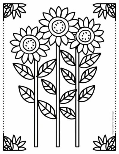 Sunflower Coloring Pages (Free Printables) - Superstar Worksheets