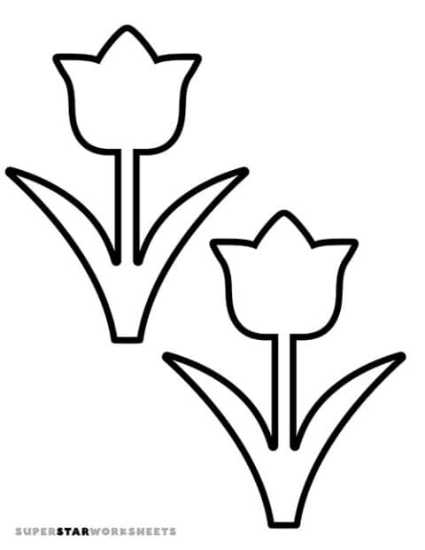 Tulip Template - Superstar Worksheets