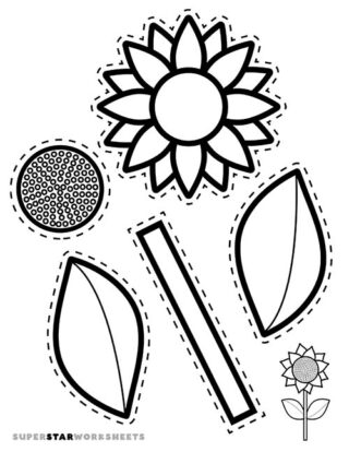 Sunflower Template (Free Printables) - Superstar Worksheets