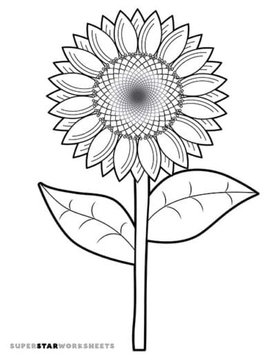 Sunflower Template (Free Printables) - Superstar Worksheets