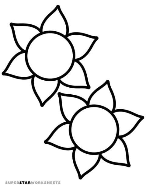 Sunflower Template (Free Printables) - Superstar Worksheets