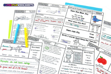 Reading Comprehension Worksheets - Superstar Worksheets