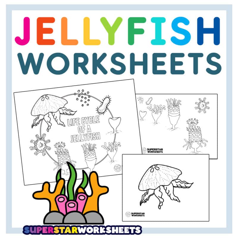 Jellyfish Worksheets - Superstar Worksheets