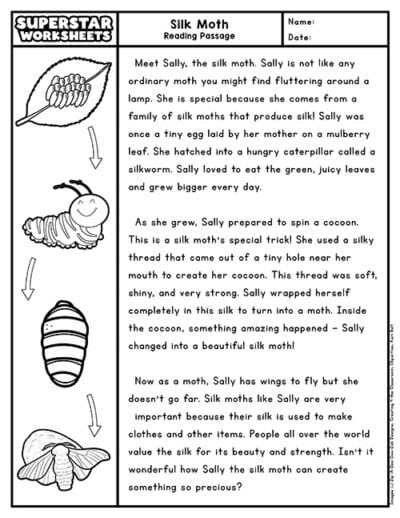 Second Grade Reading Comprehension - Superstar Worksheets