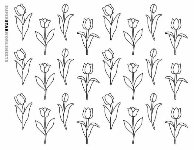 Tulip Template (Free Printables) - Superstar Worksheets