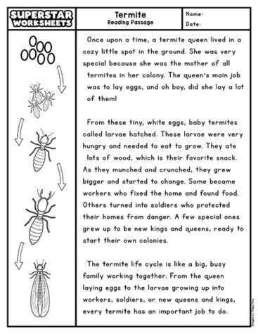 Second Grade Reading Comprehension - Superstar Worksheets