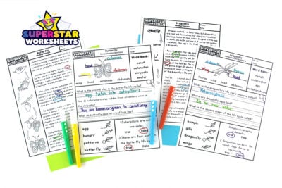 Second Grade Reading Comprehension - Superstar Worksheets