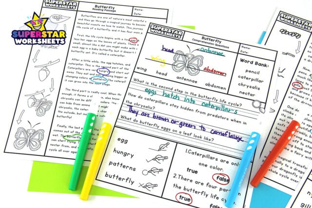 Second Grade Reading Comprehension - Superstar Worksheets
