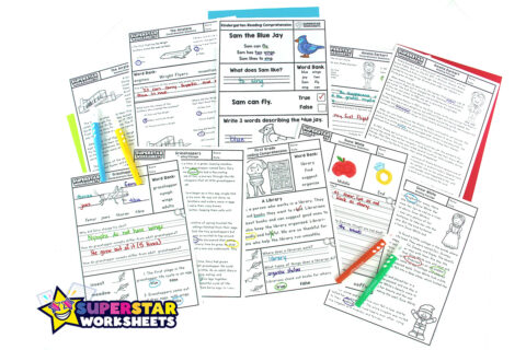 Reading Comprehension Worksheets - Superstar Worksheets